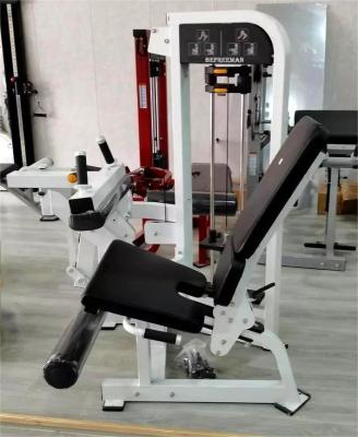 Cina Costruzione della forza Essential Befreeman Seduto Leg Curl Machine Medium Loader Tipo in vendita