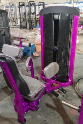 Cina Apparecchiature di fitness per l'esercizio delle gambe con rivestimento in polvere elettrostatica a due strati in vendita