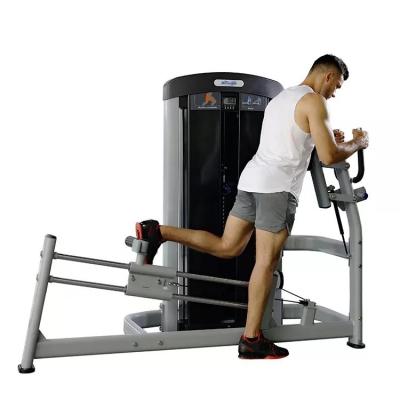 China Stehende Beinverlängerung Glute Kickback-Maschine Mittellastgerät für Fitnesscenter/Gym zu verkaufen