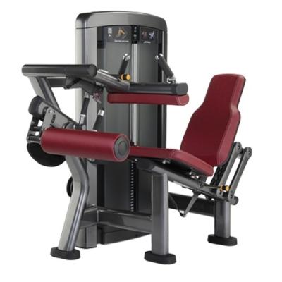 China Logotipo personalizável Força comercial de perna sentada Curl Extensão para equipamento de treino à venda
