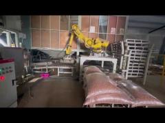 CP180L Multifunctional Palletizing Robot Used Kawasaki Robot With Load 180kg