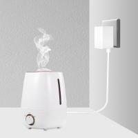 China 5V 2A Wall Mount Power Adapters Electronic For International Plug for sale