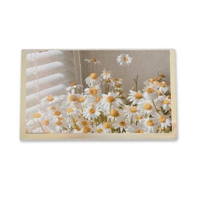 China LQ058T5GG03 NEW High Quality Tft Lcd 5.8 Inch 400*234 Lcd Display in Stock for sale