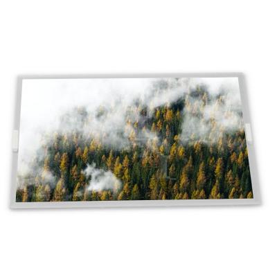 China M240HW01 V.8 Modules 24.0-Inch WLED High Resolution TFT LCD Display Module 1920*1080 ODM for sale