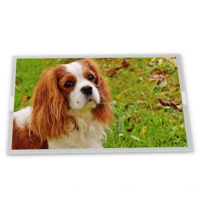 China LQ270M1LX01 LVDS 1920*1200 Lcd Screen Display 27 Inch WLED Lcd Screen Module for sale