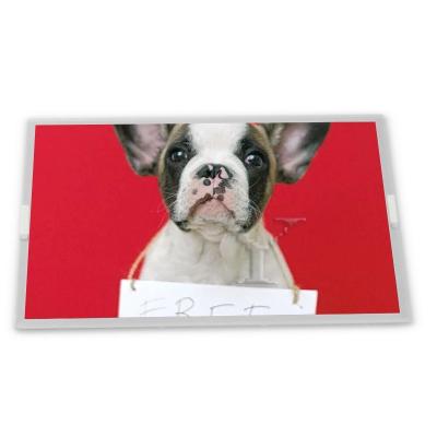 China DV150X0M-N16 15"  Lcd Screen Module WLED 1024*768 Display Monitors LVDS for sale