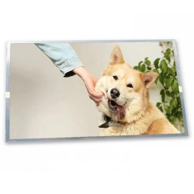 China 15 Inch Lcd Panel 1024*768 4 Pcs CCFL TFT LCD Display LQ150X1DWF1 for sale