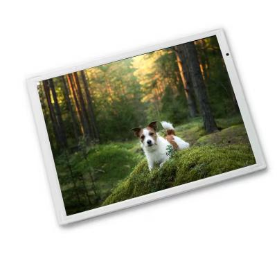 Cina LB084S02(TD)(01) Schermo LCD TFT 8,4" Display LB084S02-TD01 in vendita