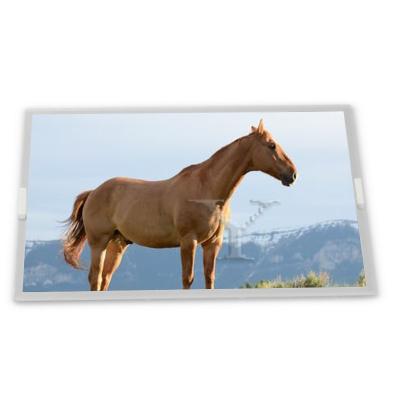 Китай 9-дюймовый ЖК-модуль TX23D38VM0CPA ЖК-экран с сенсорным экраном 800*400 ЖК-панель продается
