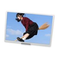 China 8 Inch 1200x1920 TFT LCD Display Panel MIPI Interface P080LDN-DB1 Industrial for sale