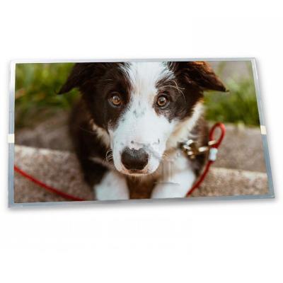 China Nice Price Online One-stop Shopping 30 Pins LVDS 19 Inch 1280*1024 LM190E05-SL02 Lcd Display for Desktop Monitor for sale