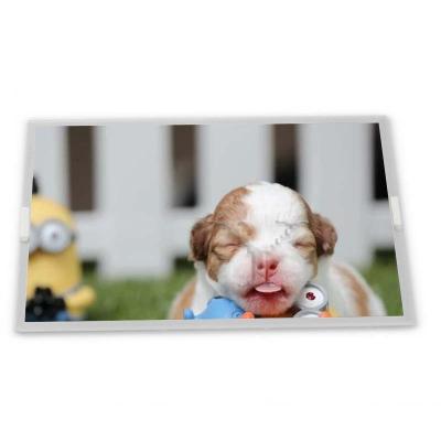 Κίνα Καλή Ποιότητα 30 Pins LVDS 10.4 Ίντσες 800*600 WLED TFT Lcd Οθόνη Αφής TCG104SVLPAAFA-AA20-S προς πώληση