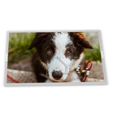 Κίνα LTM10C209A 10.4 &quot;640*480 οθόνη TFT-LCD προς πώληση