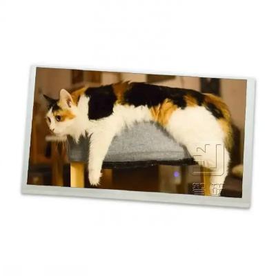 Cina Schermo LCD TFT NL10260BC19-01D da 8,9 pollici con risoluzione 1024*600 in vendita