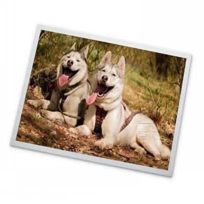 Κίνα HV208QX1-100 Οθόνη LCD IPS 20,8 ιντσών με οπίσθιο φωτισμό LED Διεπαφή LVDS Ανάλυση 2048*1536 προς πώληση