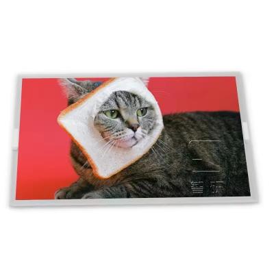 Cina NUOVO e originale 1024*600 G101SAN01.2 Modulo display LCD TFT TN da 10,1 pollici per fornitori di monitor in vendita