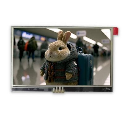 Cina Touch Panel Resistivo a 4 fili 480*272 LQ043T1DG01 4.3 pollici / Pannello LCD in vendita