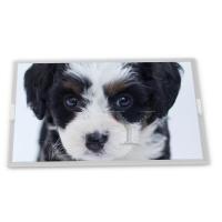 China A080XTN01.4 8 Inch TFT LCD Display Module Industrial Rectangular Screen 100 Original for sale