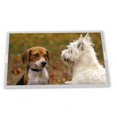 Cina Modulo display LCD WLED da 19,0 pollici ODM G190EAN01.3 con risoluzione 1280*1024 per nuovo in vendita