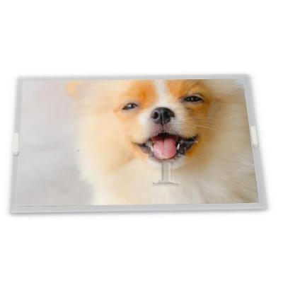 Cina Modulo display LCD WLED usato LQ150X1DWF1 con 1024*768 in vendita