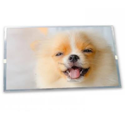 Cina Modulo display LCD WLED ODM da 19,5 pollici M195XTN01.0 con risoluzione 1366*768 per New" in vendita