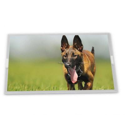 Cina Modulo display LCD WLED M215HAN01.1 da 21,5 pollici con risoluzione 1920*1080 per veicoli in stock in vendita