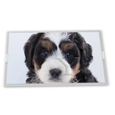 Cina Modulo display LCD WLED da 17,1 pollici personalizzabile con risoluzione 1440*900 Nuovi e buoni moduli ODM LM171WX3-TLC2 in vendita