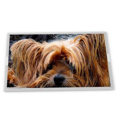 Cina Modulo display LCD WLED da 15,0 pollici compatibile personalizzabile 1024*768 Risoluzione ODM NLB150XG02L-02 Moduli in vendita