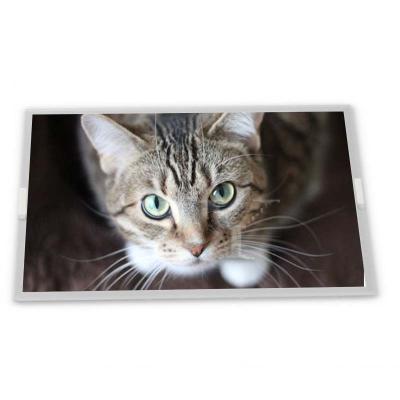 Cina Modulo display LCD WLED ODM da 19,0 pollici G190EG02 V104 con risoluzione 1280*1024 per lo sviluppo di nuovi prodotti in vendita