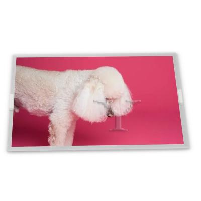 Cina Modulo display ascensore LCD WLED da 15,0 pollici compatibile con stock, personalizzabile, risoluzione 1024*768, moduli ODM LQ150X1LW96 in vendita