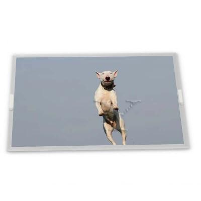 Cina Modulo display ascensore LCD WLED da 15,0 pollici compatibile con stock, personalizzabile, risoluzione 1024*768, moduli ODM LQ150X1LW73 in vendita