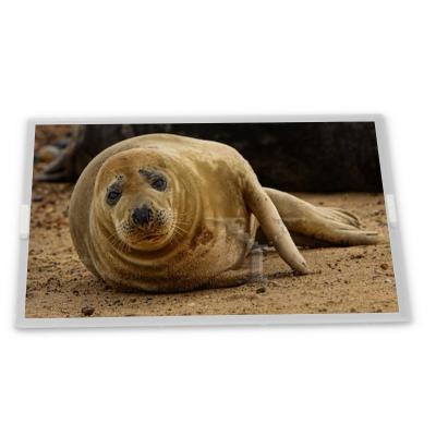 Cina Modulo display LCD WLED da 15,0 pollici personalizzabile con risoluzione 1024*768 NL10276AC30-42C Moduli LCD compatibili in vendita