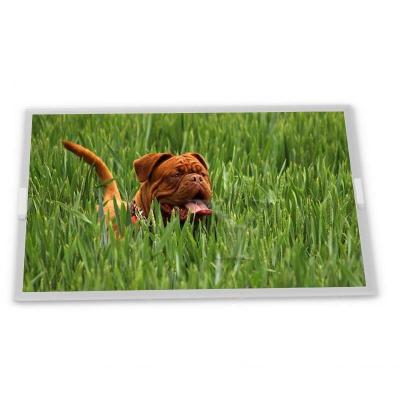 Cina Modulo display LCD in offer ODM Custom 15.0 pollici AA150XW01 con risoluzione 1024*768 IPS TFT LCD Panel con interfaccia LVDS Nuovo in vendita