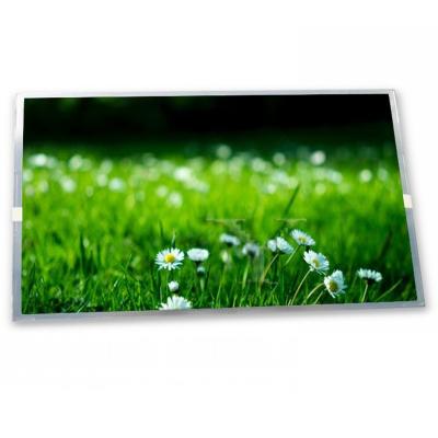 Κίνα LTM190E1-L03 19 ιντσών 1280*1024 WLED TFT LCD οθόνη Panel προς πώληση