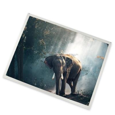 China 20,0-Zoll-WLED-LCD-Anzeigemodul, neu und gut, 1600*900 Auflösung, ODM LTM200KT07 Module zu verkaufen