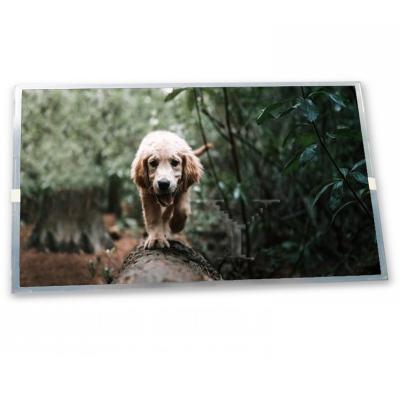 China NEUES LCD-DISPLAY LCD-PANEL LP171WU5 17,1 Zoll 1920*1200 Modul auf Lager zu verkaufen