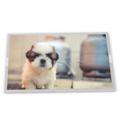 China 1024*768 Industrial LCD Panel 20 Pins CCFL Panel 10.4 Inch LTD104EA5R for sale