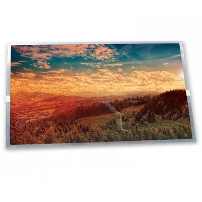China LM121SS1T53 12.1 Inch 800*600 TFT LCD Modules 20-Pin Thin Film Transistor Liquid Crystal Display Screen for sale