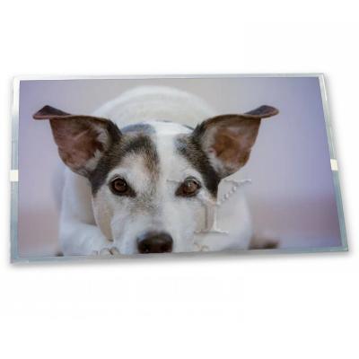 China Custom ODM 12.1-Inch WLED LCD Display Module AA121SL06 with 800*600 Resolution Specific Application Specific LCD Modules for sale