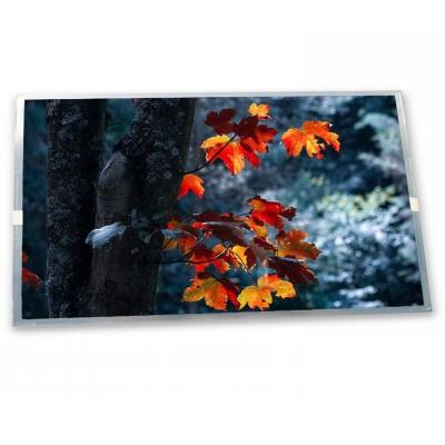 China 10.4-Inch WLED LCD Display Module NL10276BC20-18 with 1024*768 Resolution for Various Applications for sale