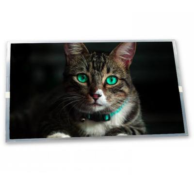 Китай 800(RGB)*480 6,2-дюймовый A-Si TFT-LCD Новый высококачественный сенсорный экран TM062RDZ04 ЖК-модуль Дисплей Качественные поставщики. продается