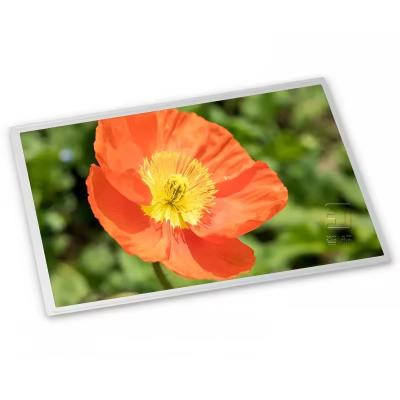 China 8.4 Inch 800*600 TFT-LCD Screen TCG084SVLPAANN-AN20 LCD PANEL Modules for sale