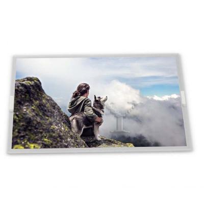 China High Resolution 8.0-Inch stock Compatible WLED LCD Display Module 800*480 ODM TX20D18VM2BPA Modules for sale