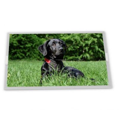 China 7.2-Inch WLED LCD Display Module LM64P104 with 640*480 Resolution Various Applications for LCD Modules for sale