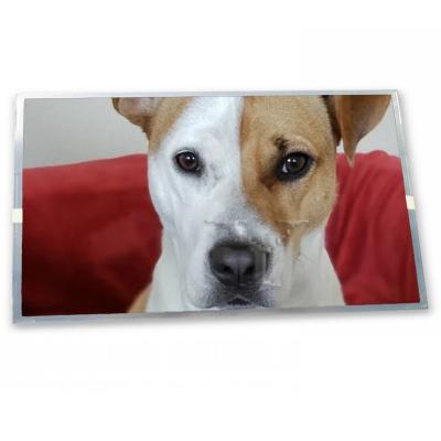 China High Resolution 7.5-Inch stock Compatible WLED LCD Display Module 640*480 ODM TCG075VGLDB-G00 with Unique Features for sale