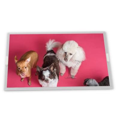 China High Resolution 7.0-Inch stock Compatible WLED LCD Display Module 480*234 ODM NL4823BC37-05 Modules for sale