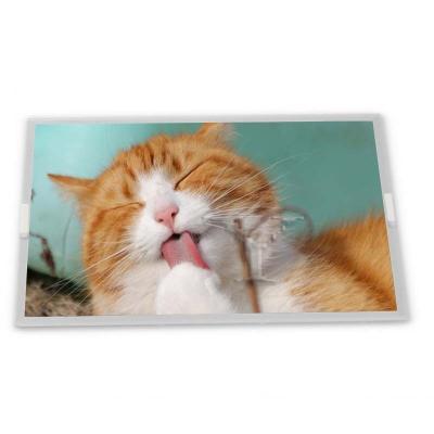 China 7.0-Inch WLED TFT LCD Display Module TX18D206VM0BAA 800*480 Resolution Custom ODM for Various Applications LCD Modules for sale