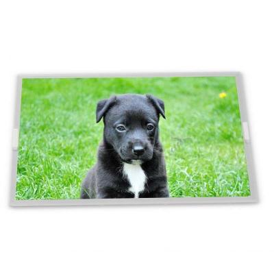 China High Resolution 9.0-Inch WLED New and Good LCD Display Module High Definition 800*480 with ODM AA090ME01 Features for sale