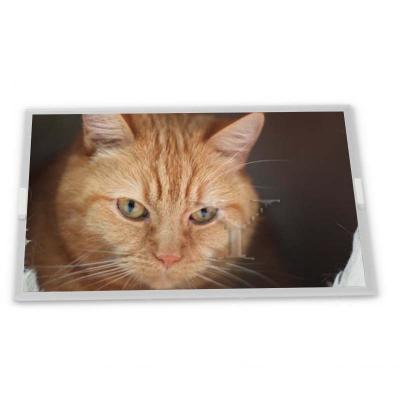 China 7.0-Inch WLED TFT LCD Display Module TM070RBH10-00 with 800*480 Resolution Various Applications ODM for LCD Modules for sale