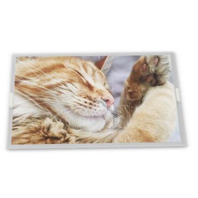 China High Resolution 7.7-Inch New Compatible WLED LCD Display Module 640*480 ODM LM8V302 Modules for sale